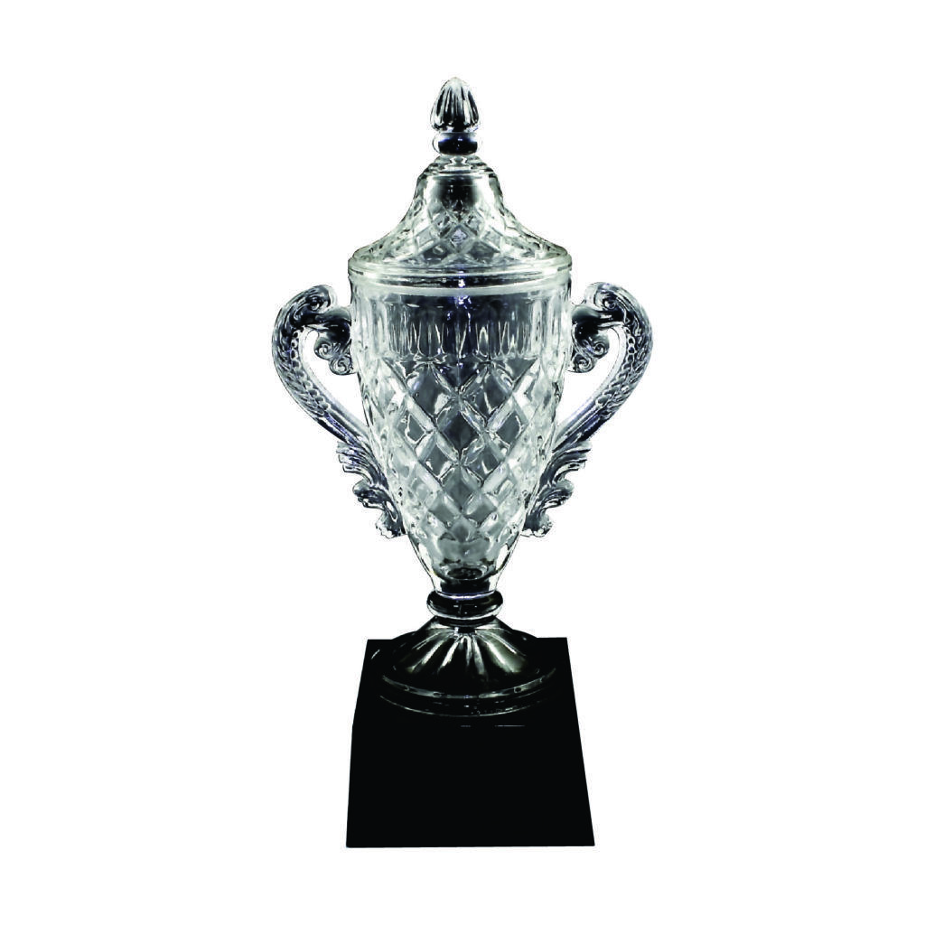 Quality CTICT023 – Exclusive Crystal Vase Trophy at Clazz Trophy ...