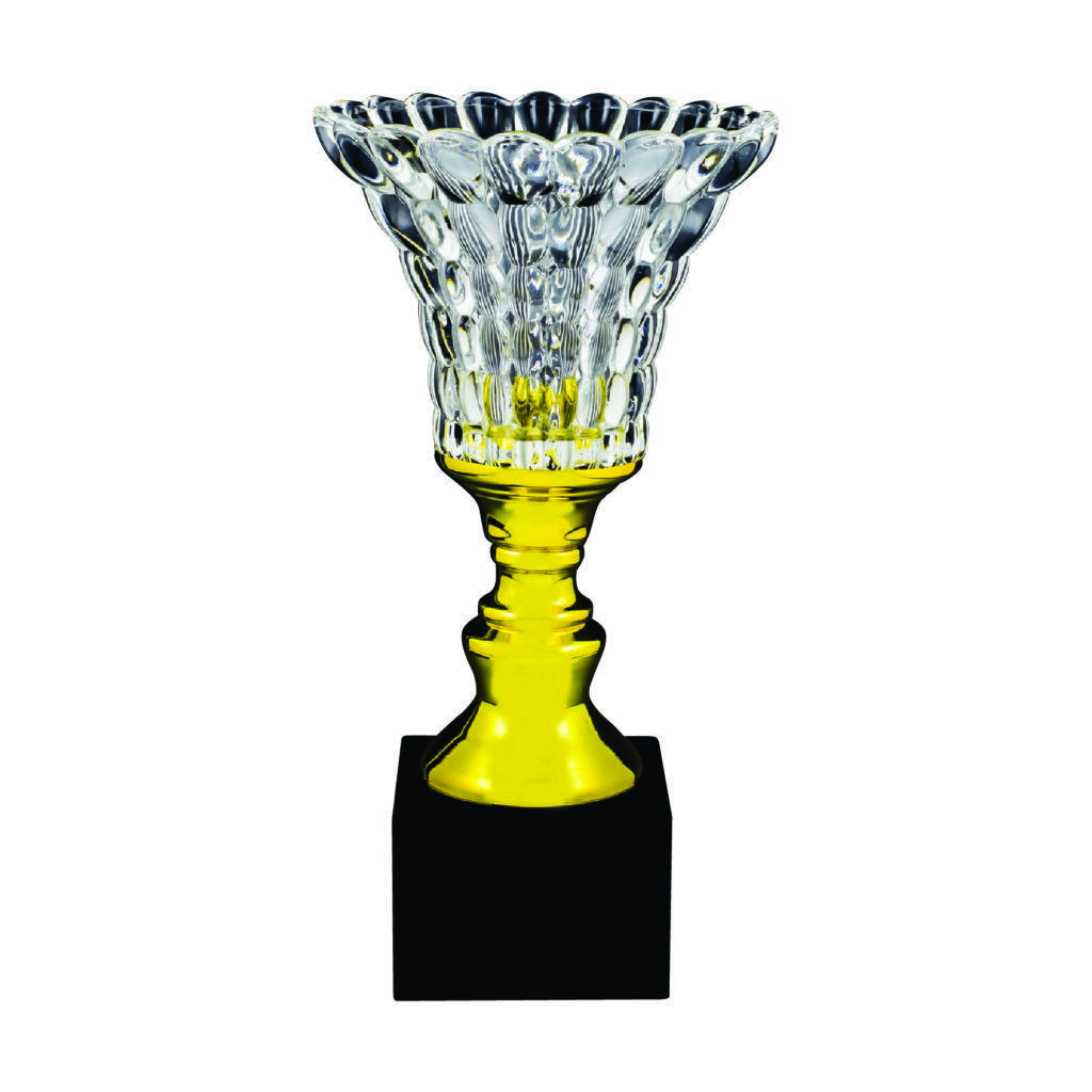 Quality CTICV143 – Exclusive Crystal Vase Trophy at Clazz Trophy ...